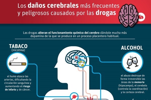 Los daños cerebrales más frecuentes y peligrosos causados por las ...