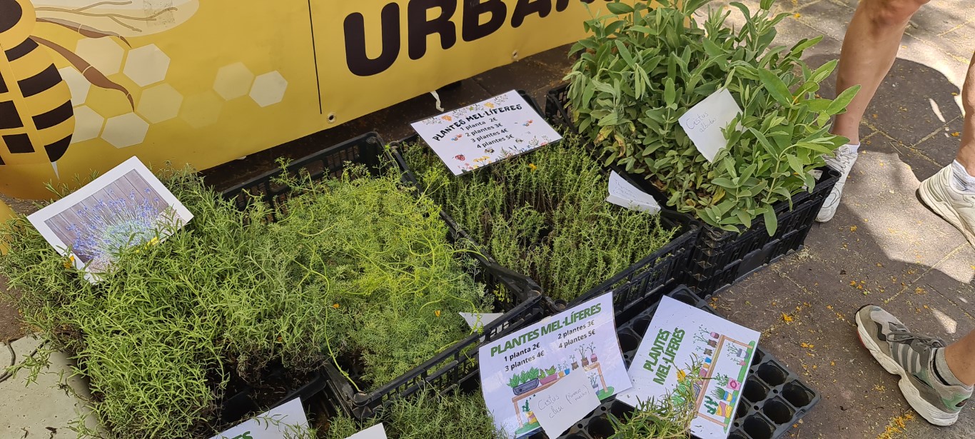 AVAU conciencia en la feria alternativa de Valencia sobre la ...